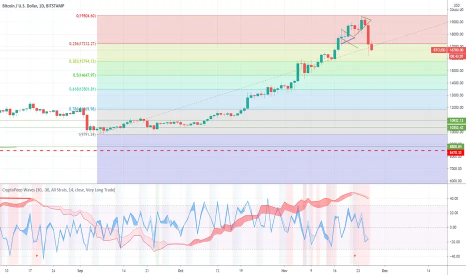 CryptoPeep作成のTest Strategy — TradingView