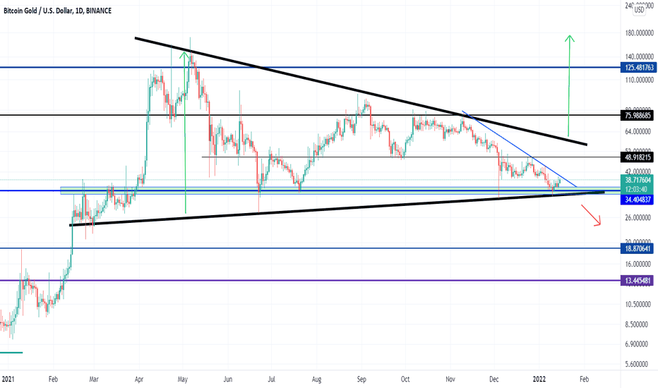 BTG USD – Bitcoin Gold Price Chart — TradingView