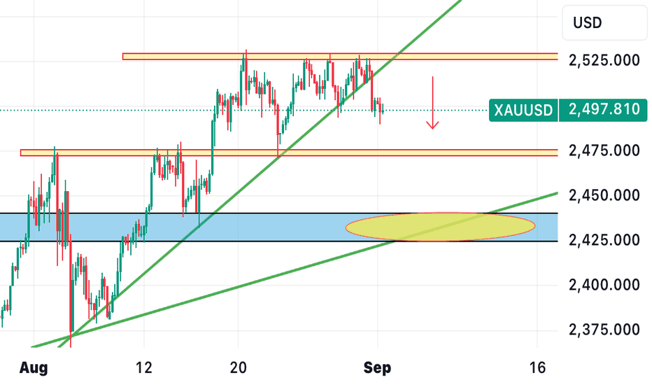 Trader Money_Pips — Trading Ideas & Charts — TradingView