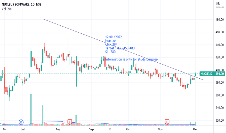 NUCLEUS Stock Price and Chart — NSE:NUCLEUS — TradingView