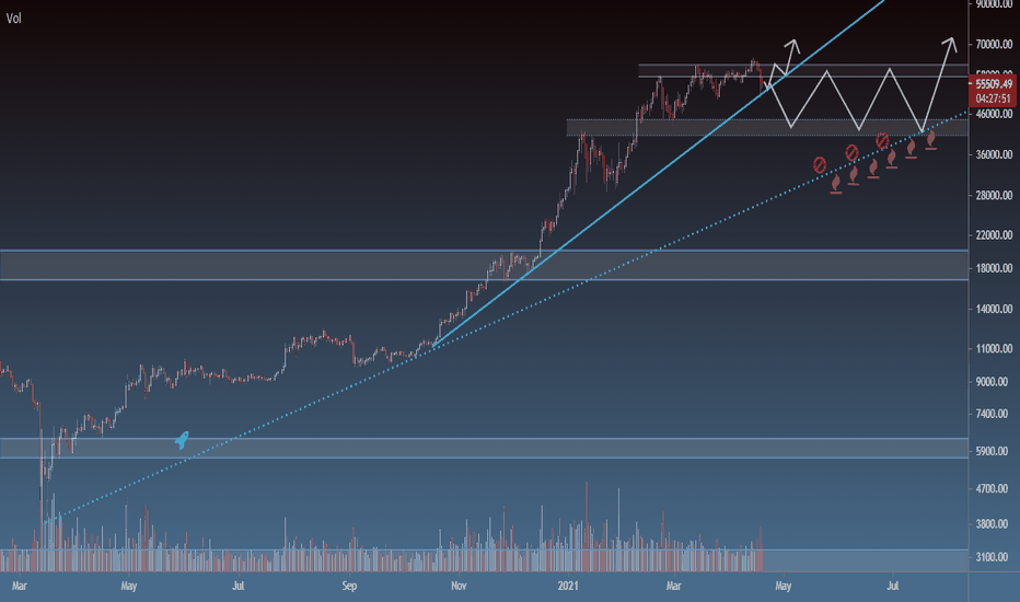 Trader Reees Trading Ideas Charts Tradingview