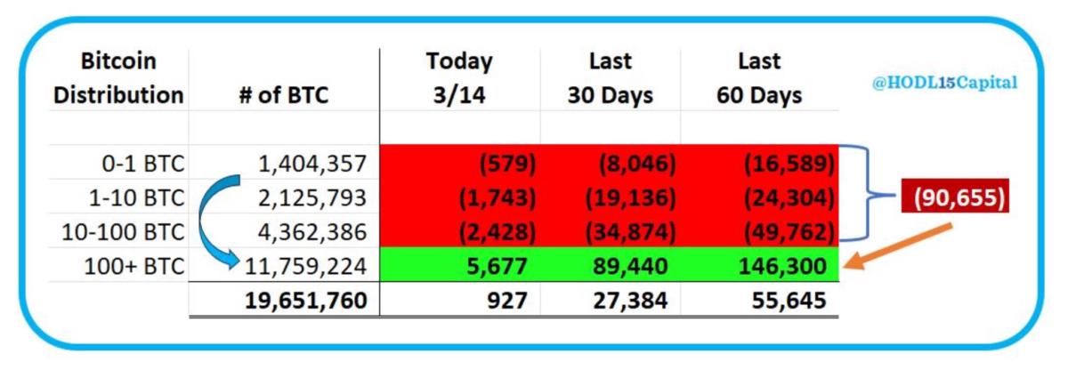 Who is ‘Mr. 100’? Mysterious Bitcoin whale becomes 14th-biggest BTC holder — TradingView News