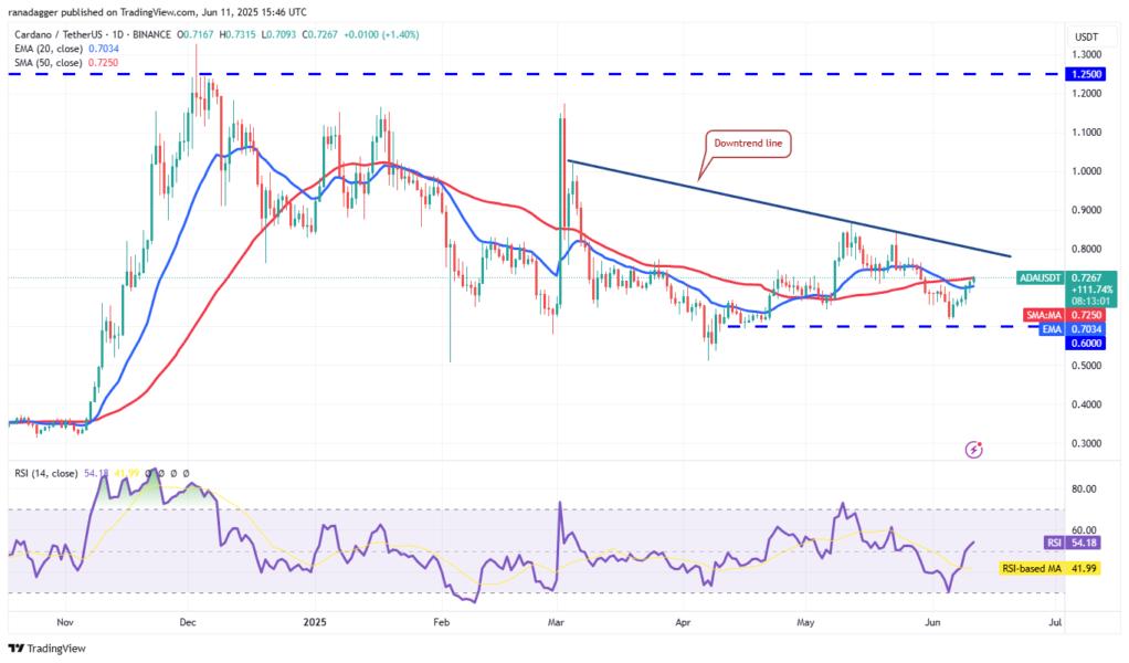 Price predictions 6/11: BTC, ETH, XRP, BNB, SOL, DOGE, ADA, HYPE, SUI, LINK — TradingView News