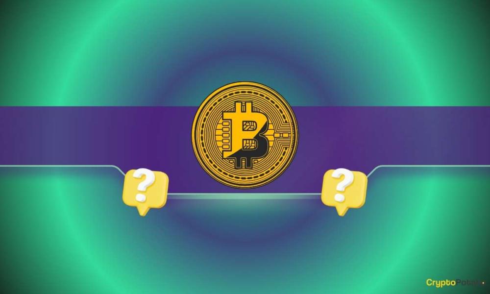 Three Reasons Why the Bitcoin (BTC) Price Could Hit a New ATH Before the End of 2024 ...