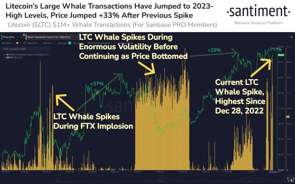 Litecoin Whale Transactions Set New 2023 High, Bullish Signal? — TradingView News