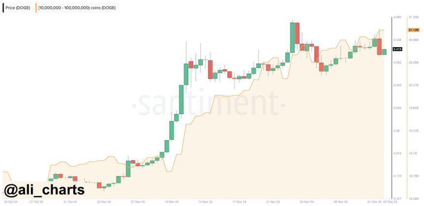 Dogecoin Whales Keep Buying – DOGE Metrics Reveal Demand Remains Strong — TradingView News