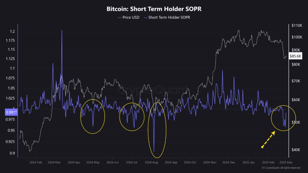 Bitcoin’s Exchange Flows Indicate Changing Investor Behavior—What’s Next? — TradingView News