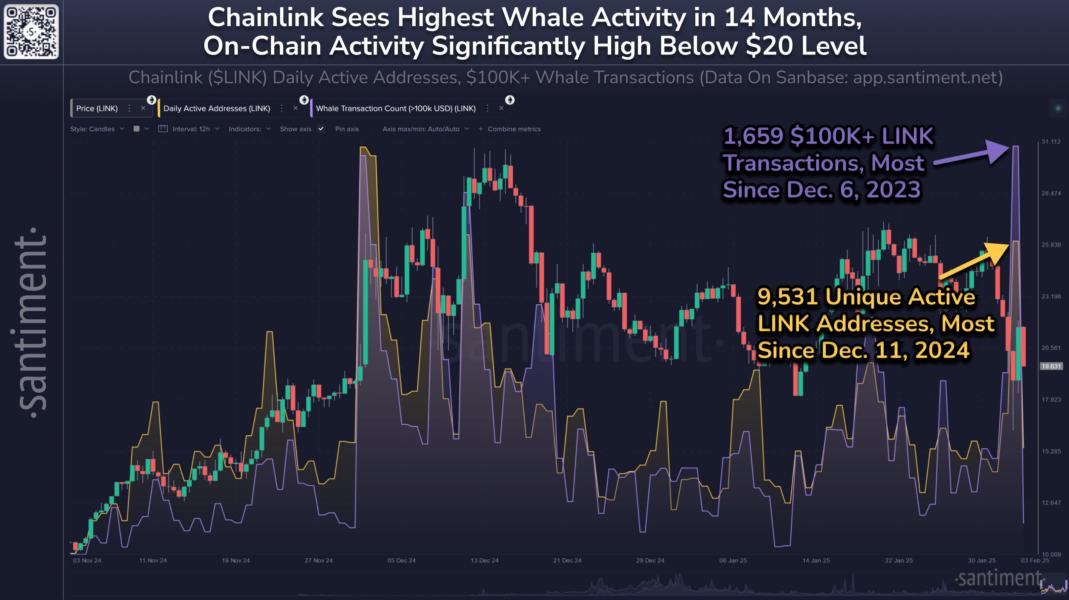 Chainlink Witnesses Highest Whale Activity Since 2023, Price Reversal Coming? — TradingView News