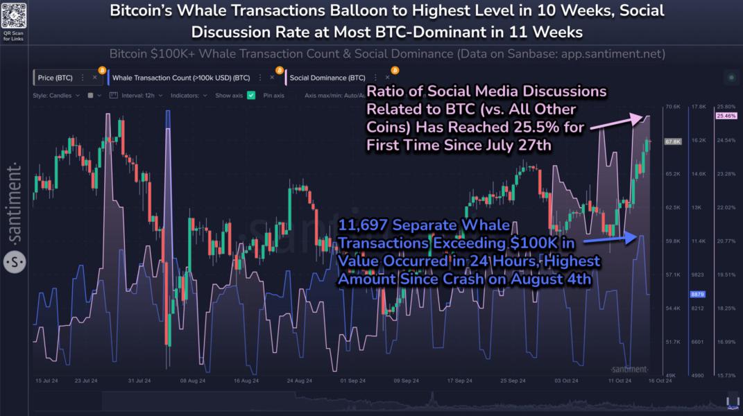 Bitcoin Whale Transfers See Massive Spike: Sign Of Profit-Taking? — TradingView News
