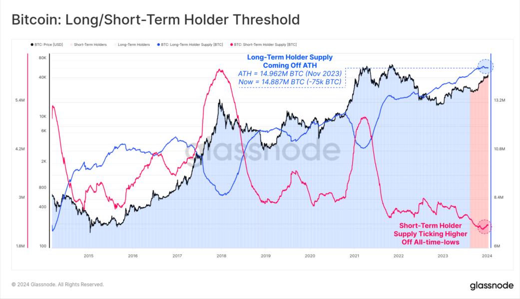 HODLing Rewards: Average Bitcoin Long-Term Holder Now Carries 55% Profit — TradingView News