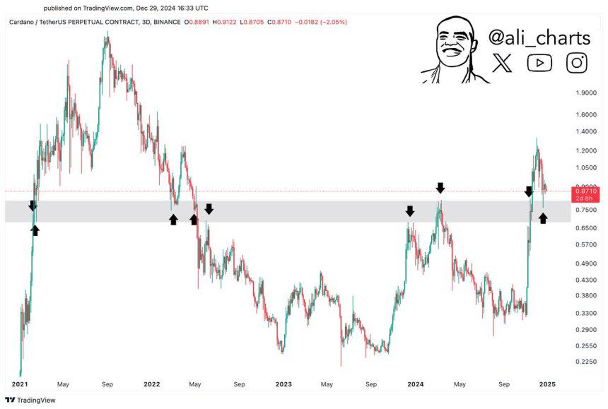 Cardano Holds Crucial Support At $0.77 – Massive Rally Ahead? — TradingView News