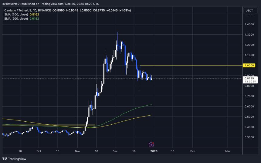 Cardano Holds Crucial Support At $0.77 – Massive Rally Ahead? — TradingView News