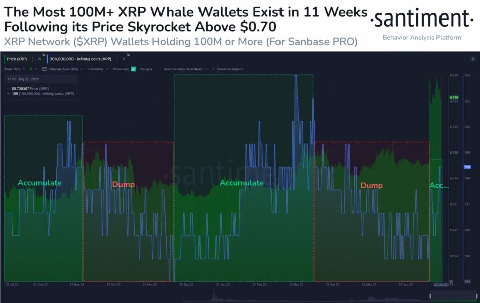 XRP Price Analysis: Bull Flag Flashes As Whales Hit New High — TradingView News