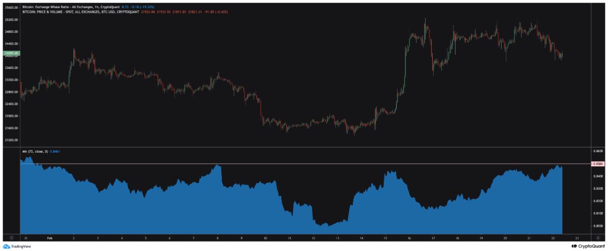 Bitcoin Bearish Signal: Exchange Whale Ratio Surges — TradingView News