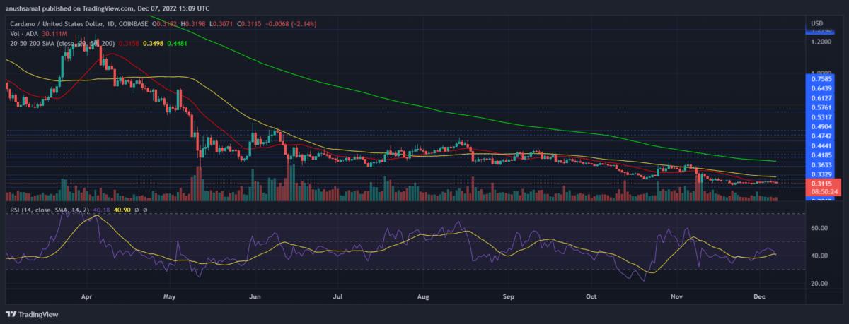 Key Support Line For Cardano Price Rests Here As The Coin Moves South — TradingView News
