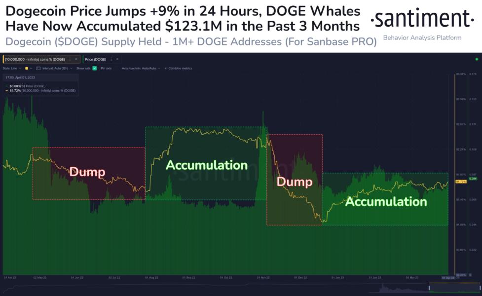 Dogecoin Whales Bought 1.47 Billion DOGE In Q1 2023: Santiment — TradingView News