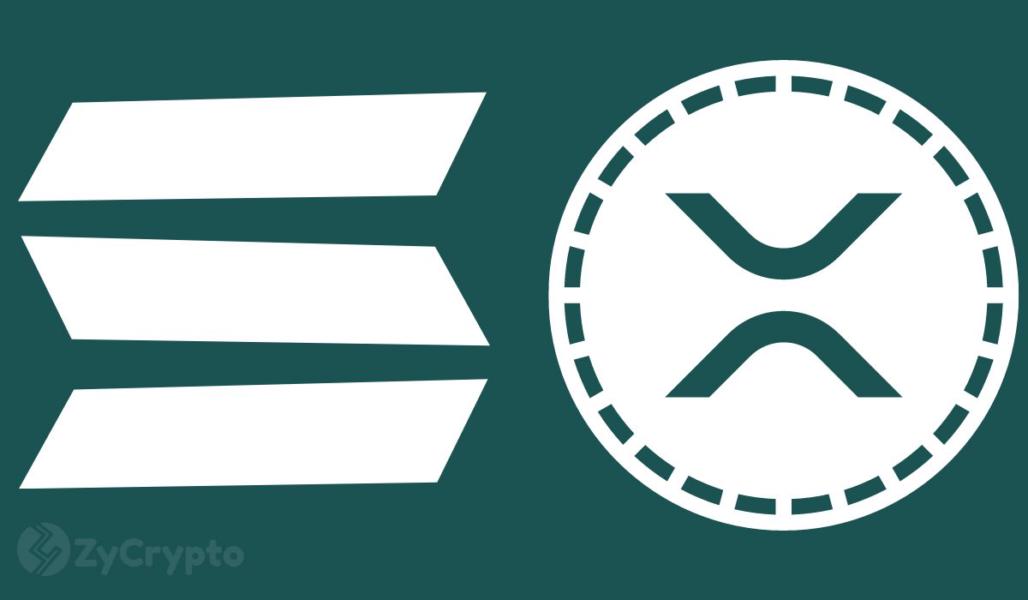 Investors Are “Suffering Harm” Due To SEC’s Surprise Pause On ETF Holding XRP And Solana ...