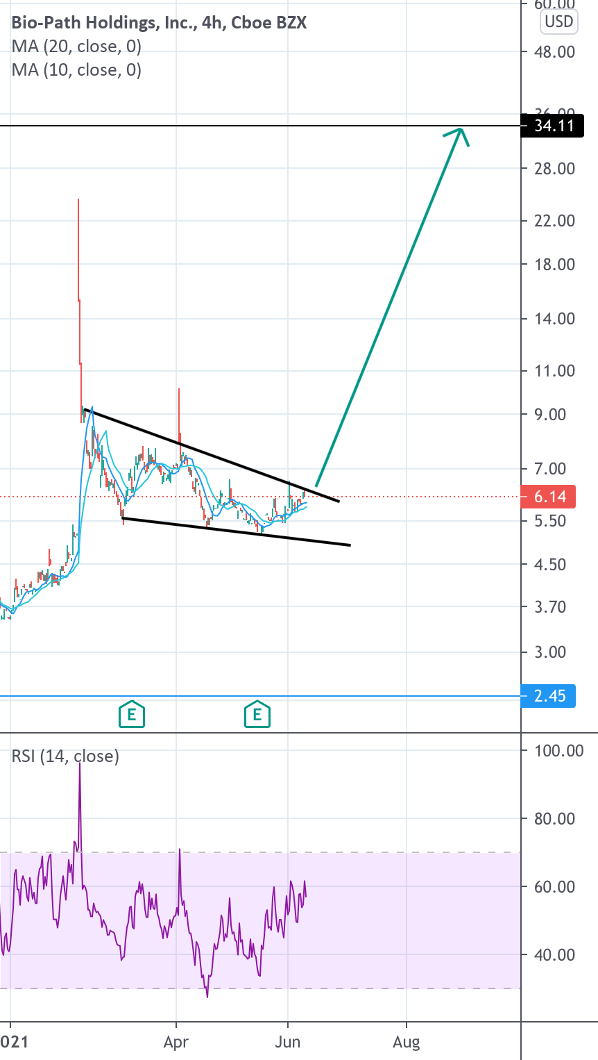 BPTH bullish flag for NASDAQ:BPTH by Stock_Holiday86 — TradingView